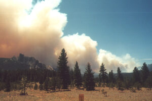 Hayman Fire - 5280Fire