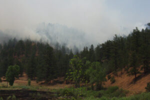 Hayman Fire - 5280Fire