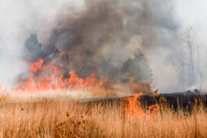 Middle Fork Fire - 5280Fire