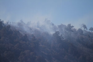 Jefferson County Hogback Fire - 5280Fire