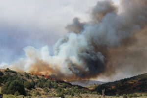 Lee Fire - 5280Fire