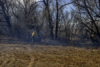 Sterry Fire - 5280Fire